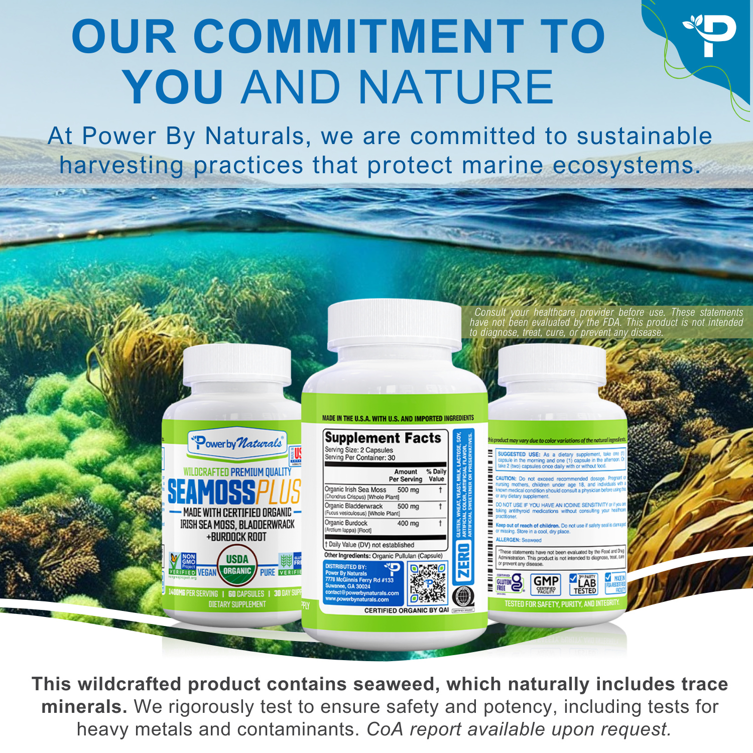 Power By Naturals Sea Moss Plus – USDA Organic Irish Sea Moss, Bladder